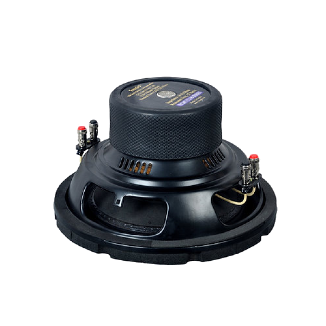 10-Inch Dual Magnet Peak Subwoofer - 1125W+1125W